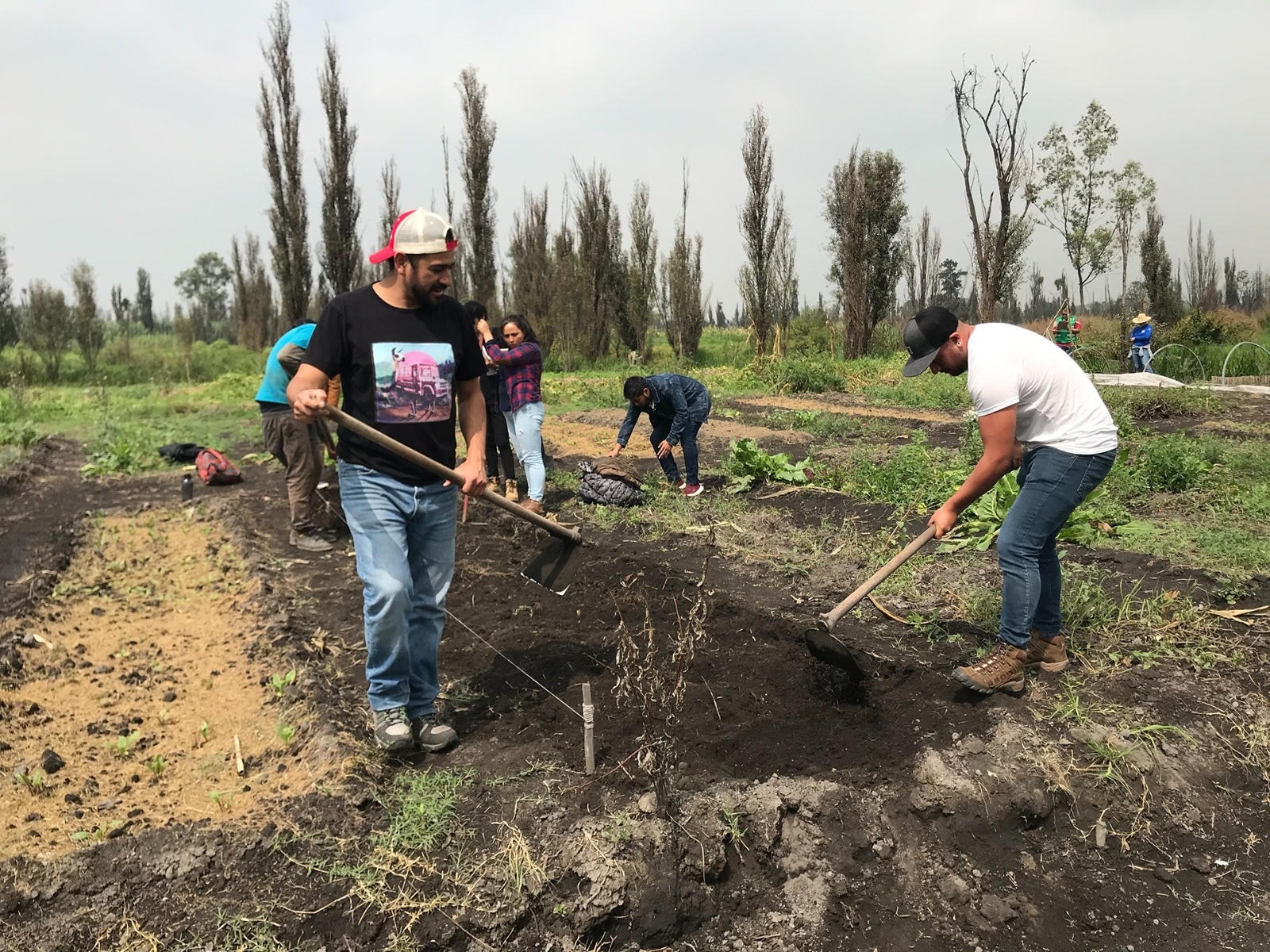 Compostas caseras, la sostenibilidad es posible en pequeños espacios ...
